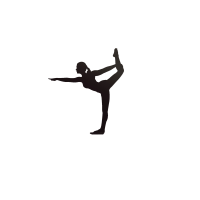 Dancing Warrior Yoga – yogalessen | bedrijfsyoga | yogaretreats